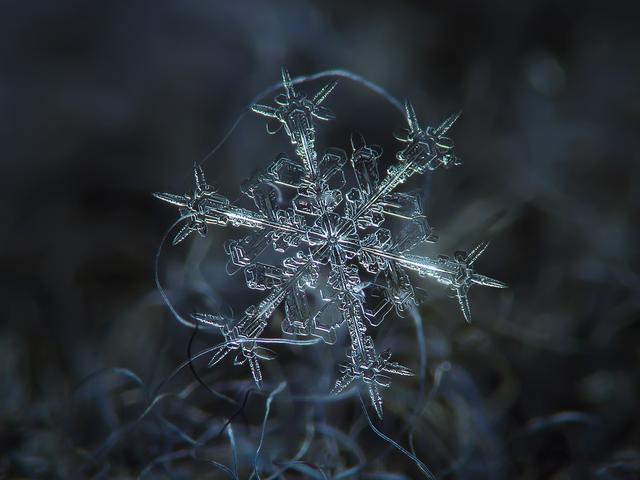 Anatomy of a Snowflake - Open JournalOpen Journal