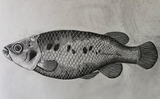 In Conversation With Lucienne Rickard - Open JournalOpen Journal