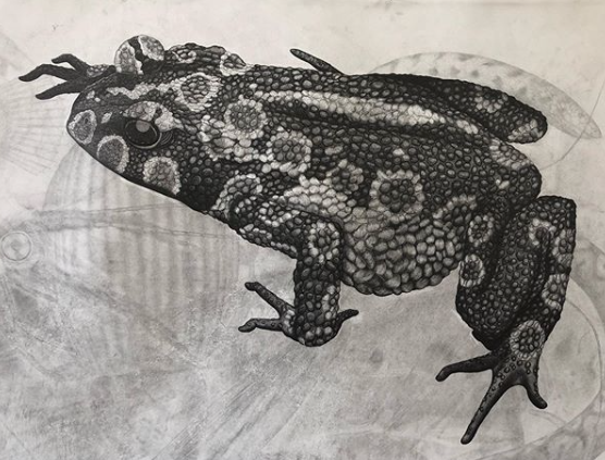 In Conversation With Lucienne Rickard - Open JournalOpen Journal